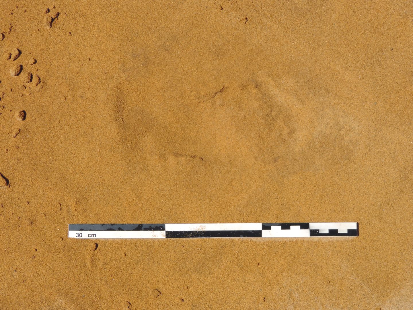 Le site préhistorique du Rozel | Le site archéologique du Rozel ...