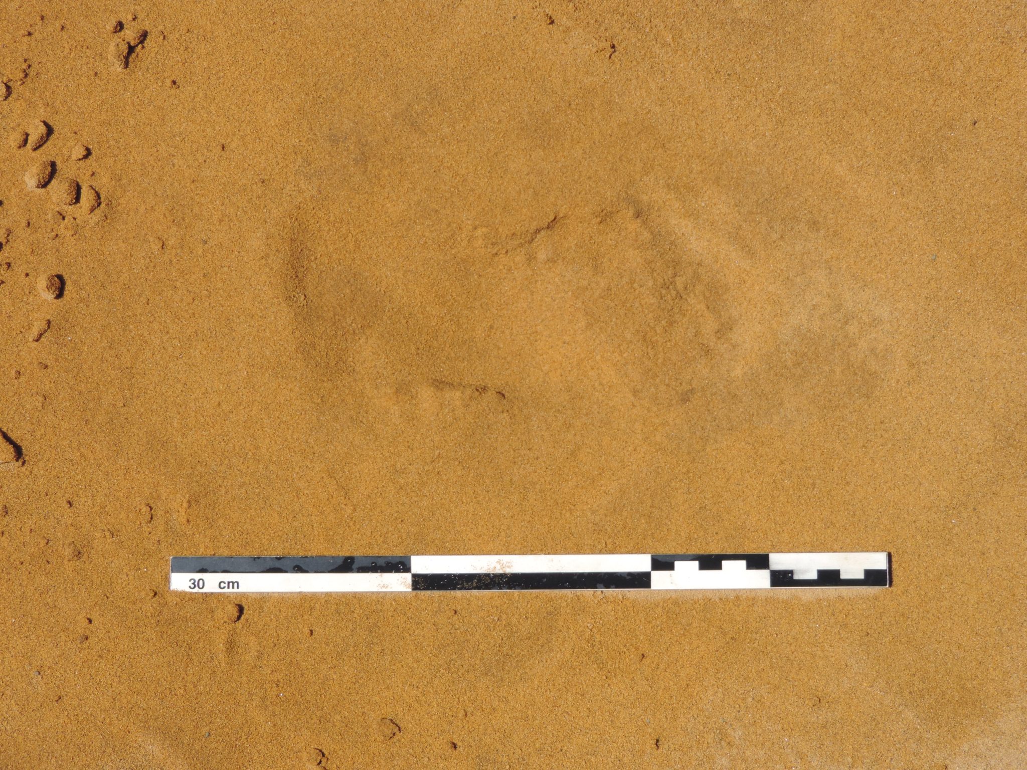 Le site préhistorique du Rozel | Le site archéologique du Rozel ...