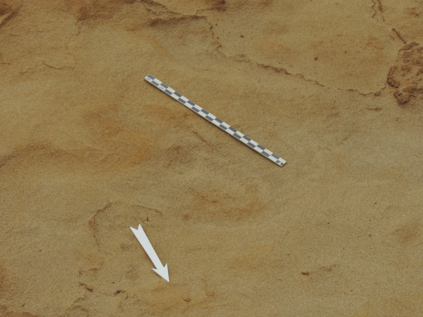 Le site préhistorique du Rozel | Le site archéologique du Rozel ...