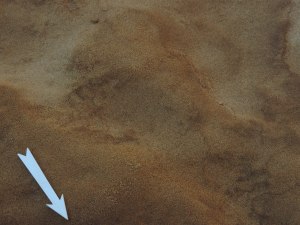 Le site préhistorique du Rozel | Le site archéologique du Rozel ...